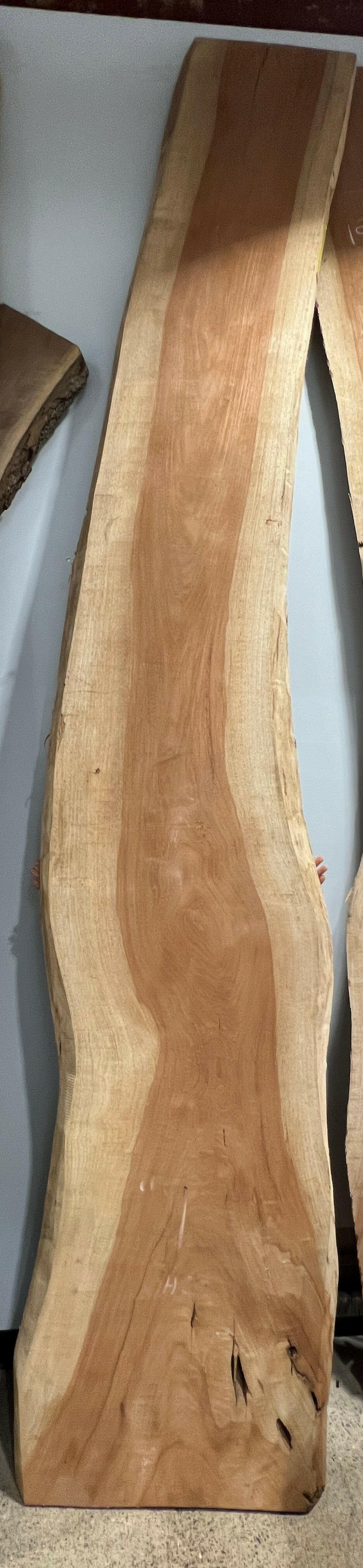 167" Pochote Wood Slab | The Carpentry Shop Co.